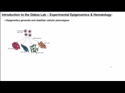 Dr. Christopher Oakes