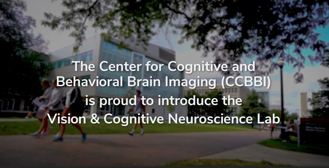 Vision & Cognitive Neuroscience Lab