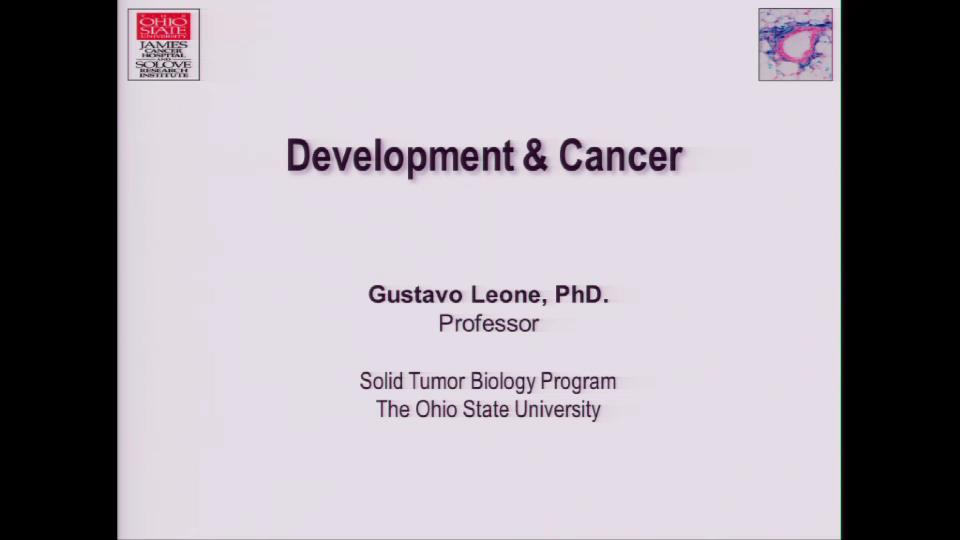 Meet the Faculty_Stoodley